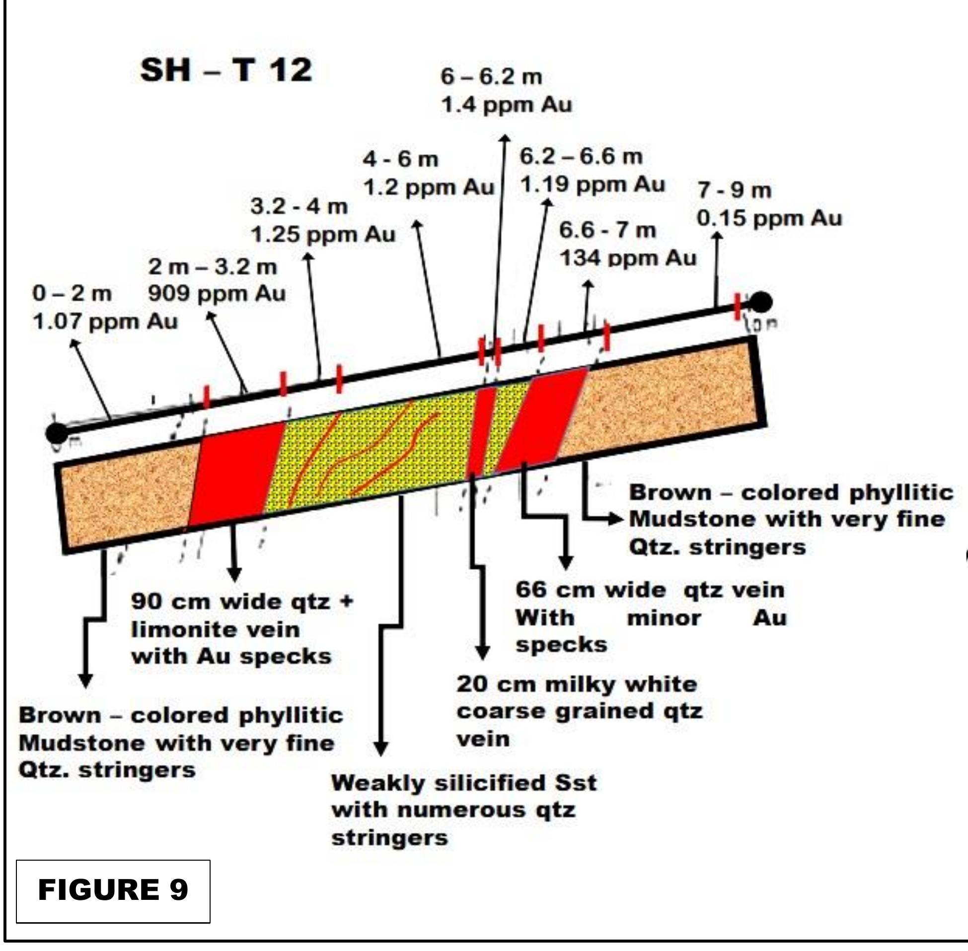 A plan log map of shwesin trench 12 (sh — t12) with the