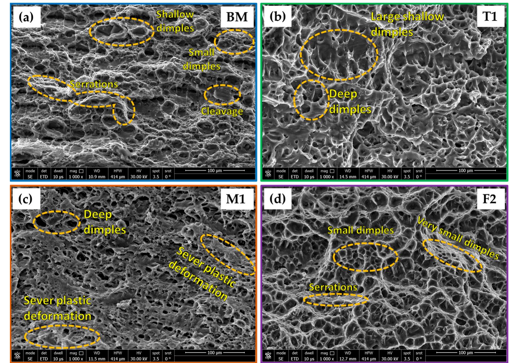 The sem images of the fracture surface morphology of the