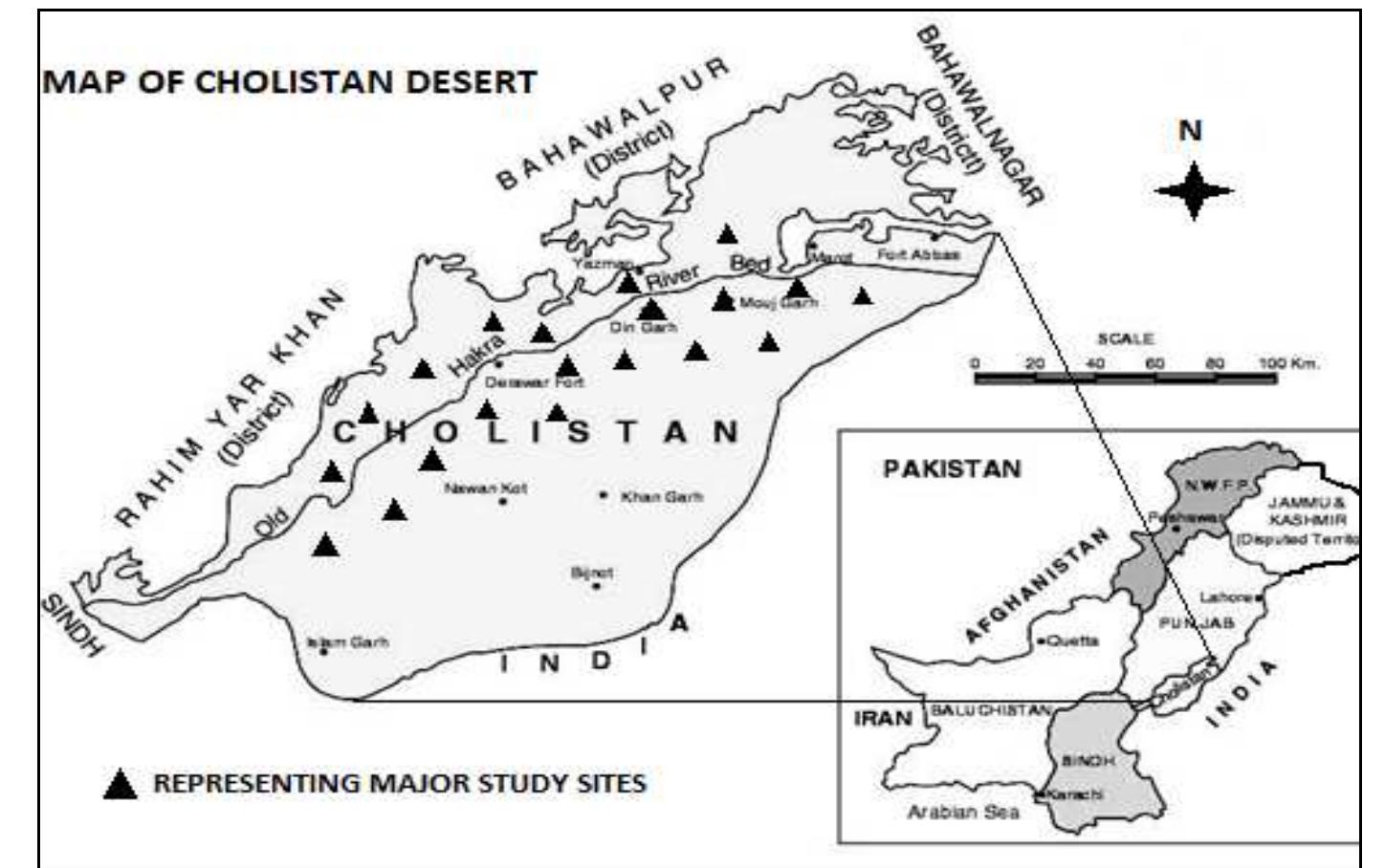 Map of study area; the cholistan desert of pakistan and data