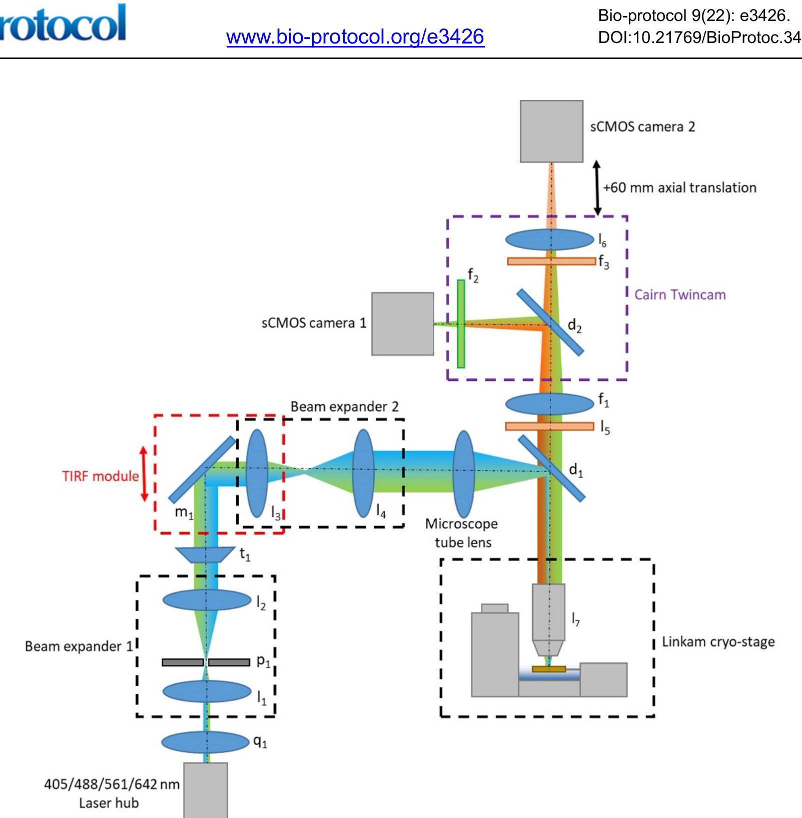 Microscope schematic detailing optics layout please cite
