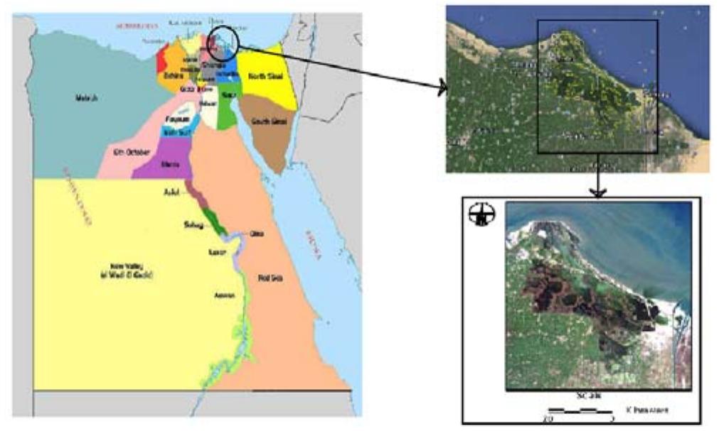 Figure 1 - from Change Detection of Manzala Lake Using