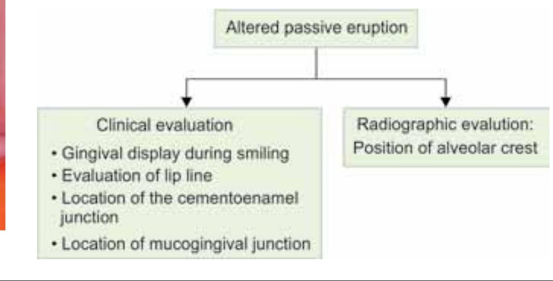 Flow chart 1: clinical and radiographic evaluation of ape a