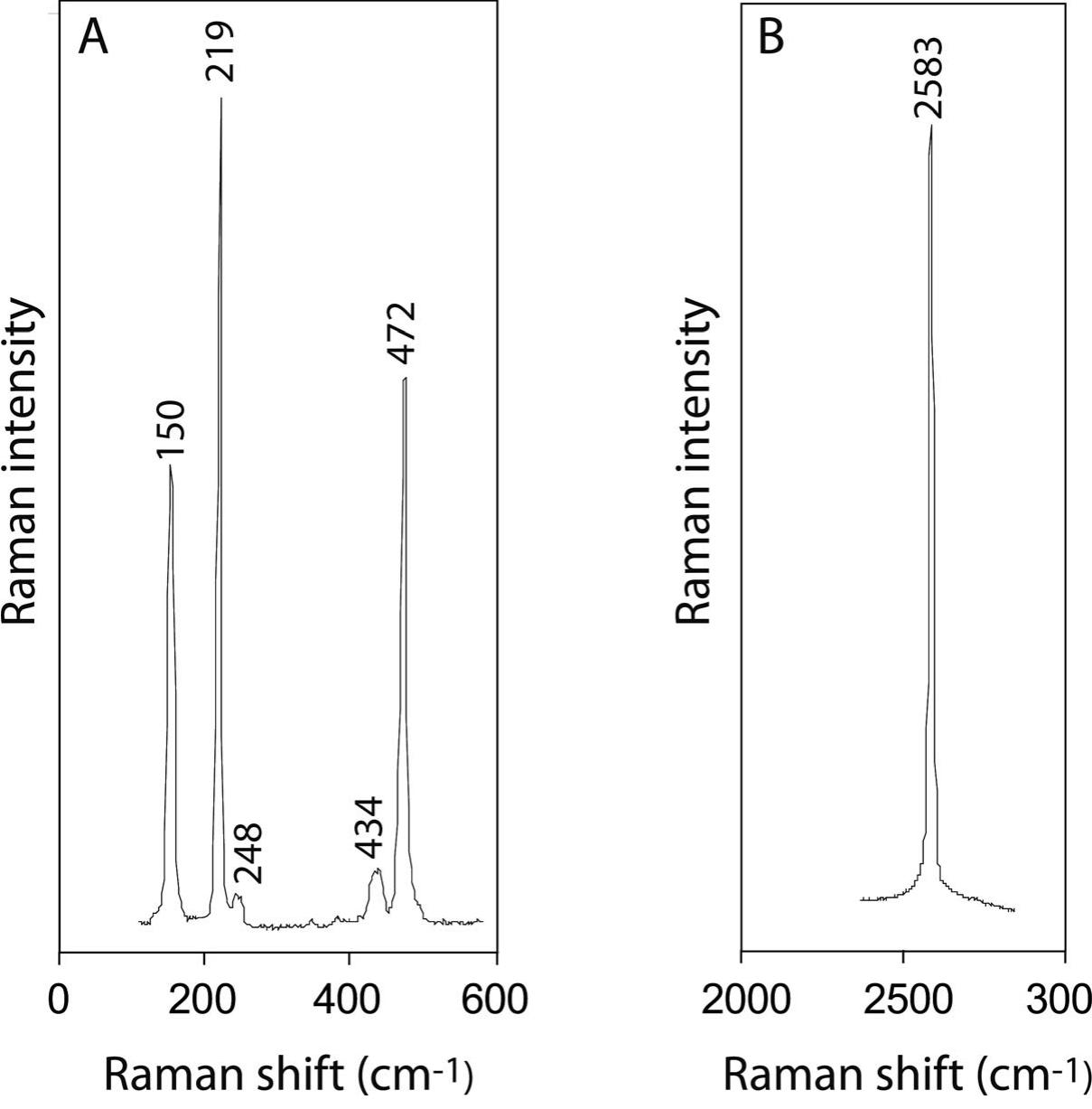 Fic. 8. raman spectra of the main phases analyzed in fluid