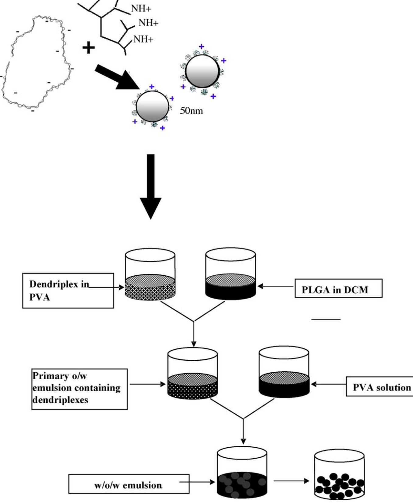 Schematic diagram of methodology for dendriplex and