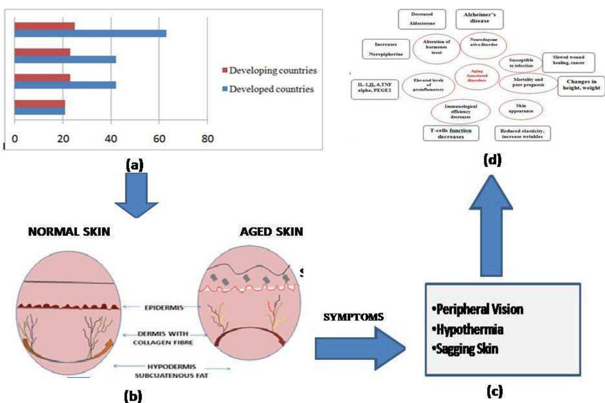 (1). schematic representation of skin ageing (a) graphical