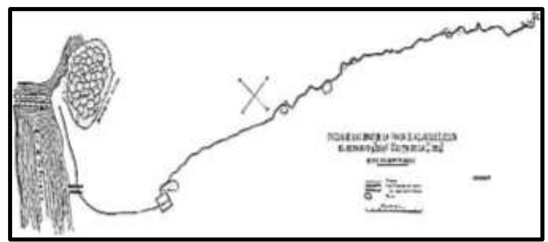 Sketch plan of linao waterworks made by jose rizal image