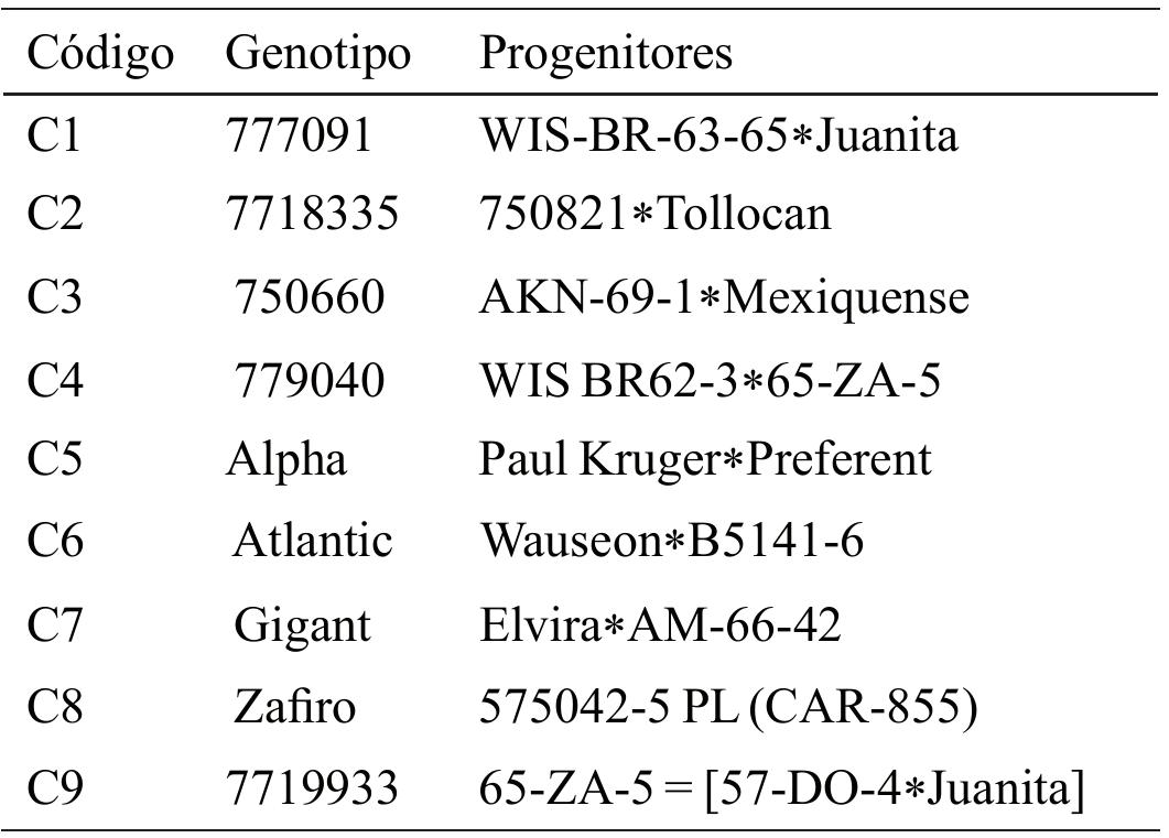 Genetic origin of nine potato genotypes.