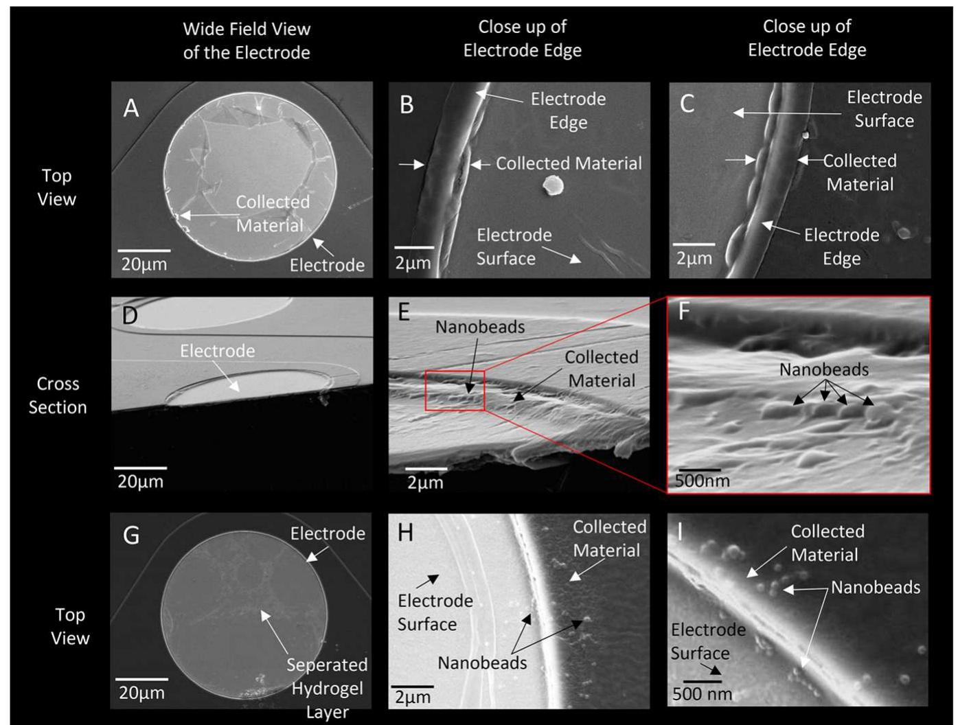 Top and cross-sectional views of the ace microelectrode chip