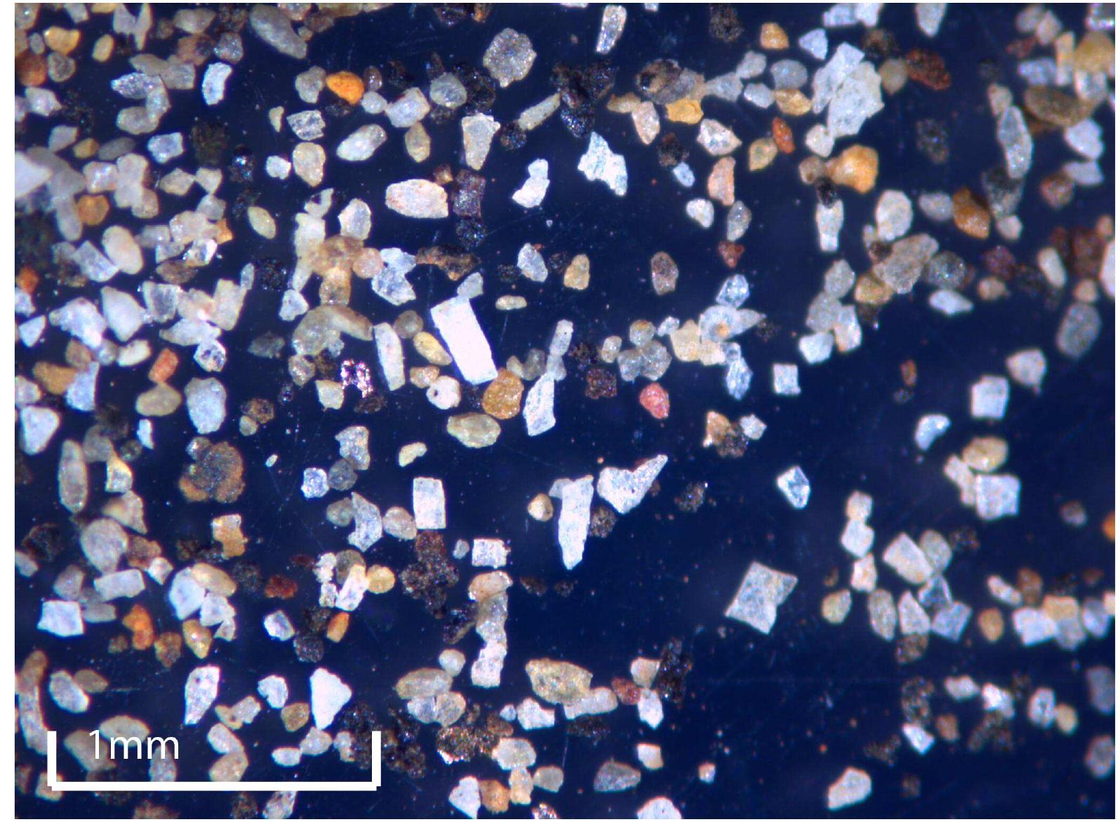 Photo 4.4.1.b shows the 63micron fraction of sieved sample