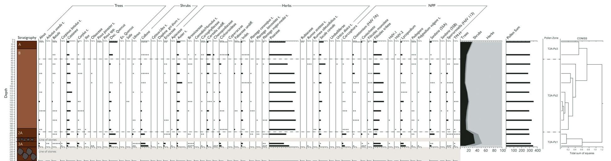 Complete pollen diagram of t2a sedimentary sequence.
