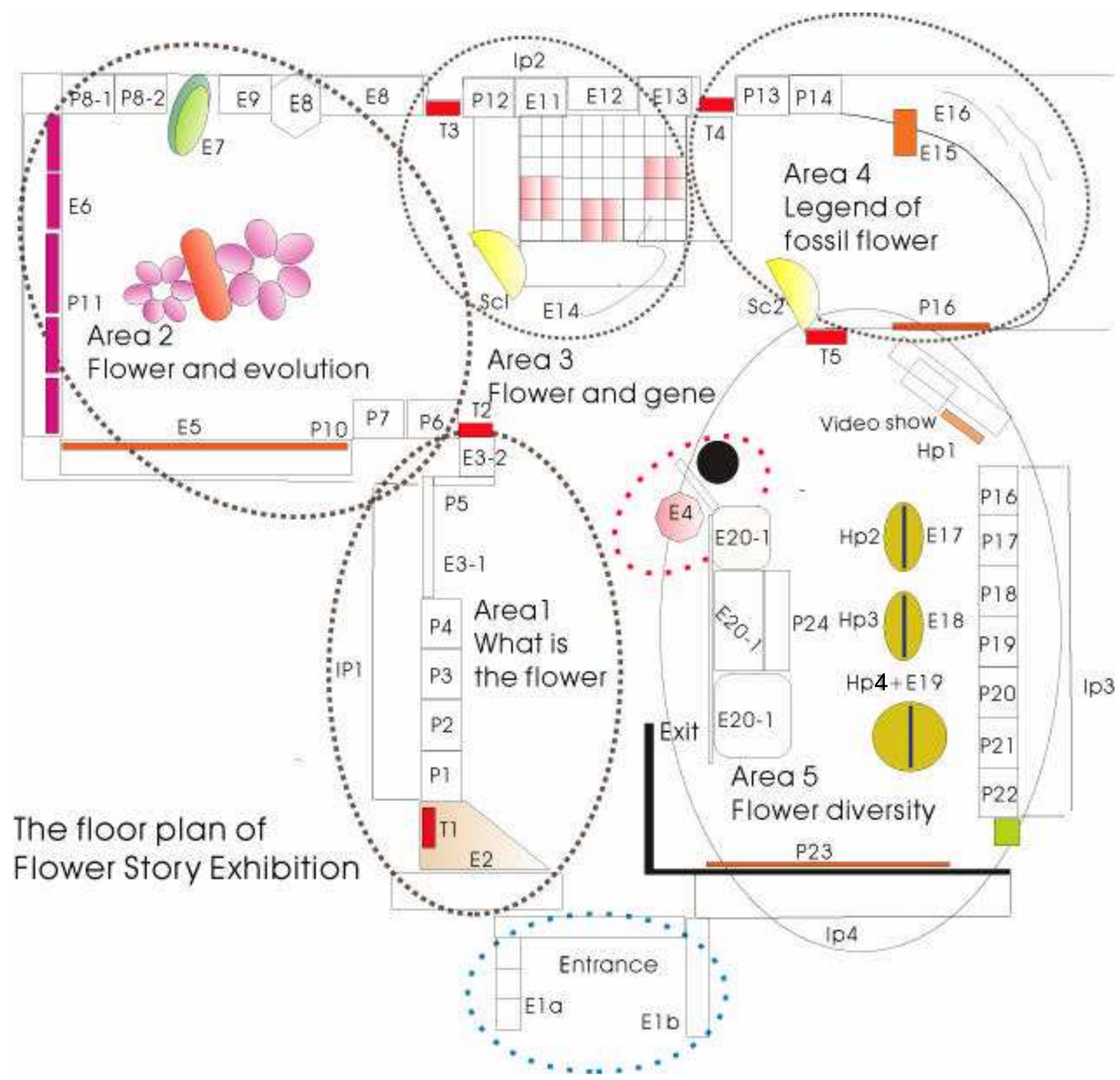 The floor plan of flower story exhibition, open space