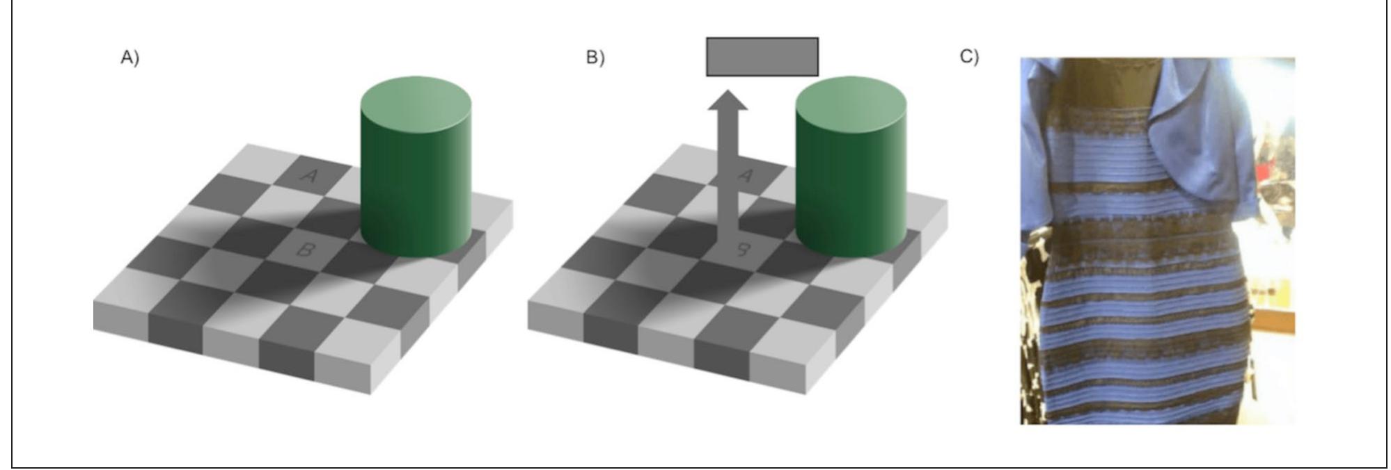 Figure 1 - from What Cognitive Neurology Teaches Us about