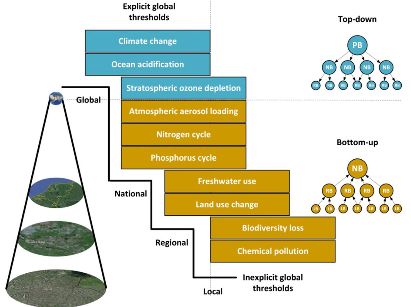A schematic of the bottom-up and top-down approaches to