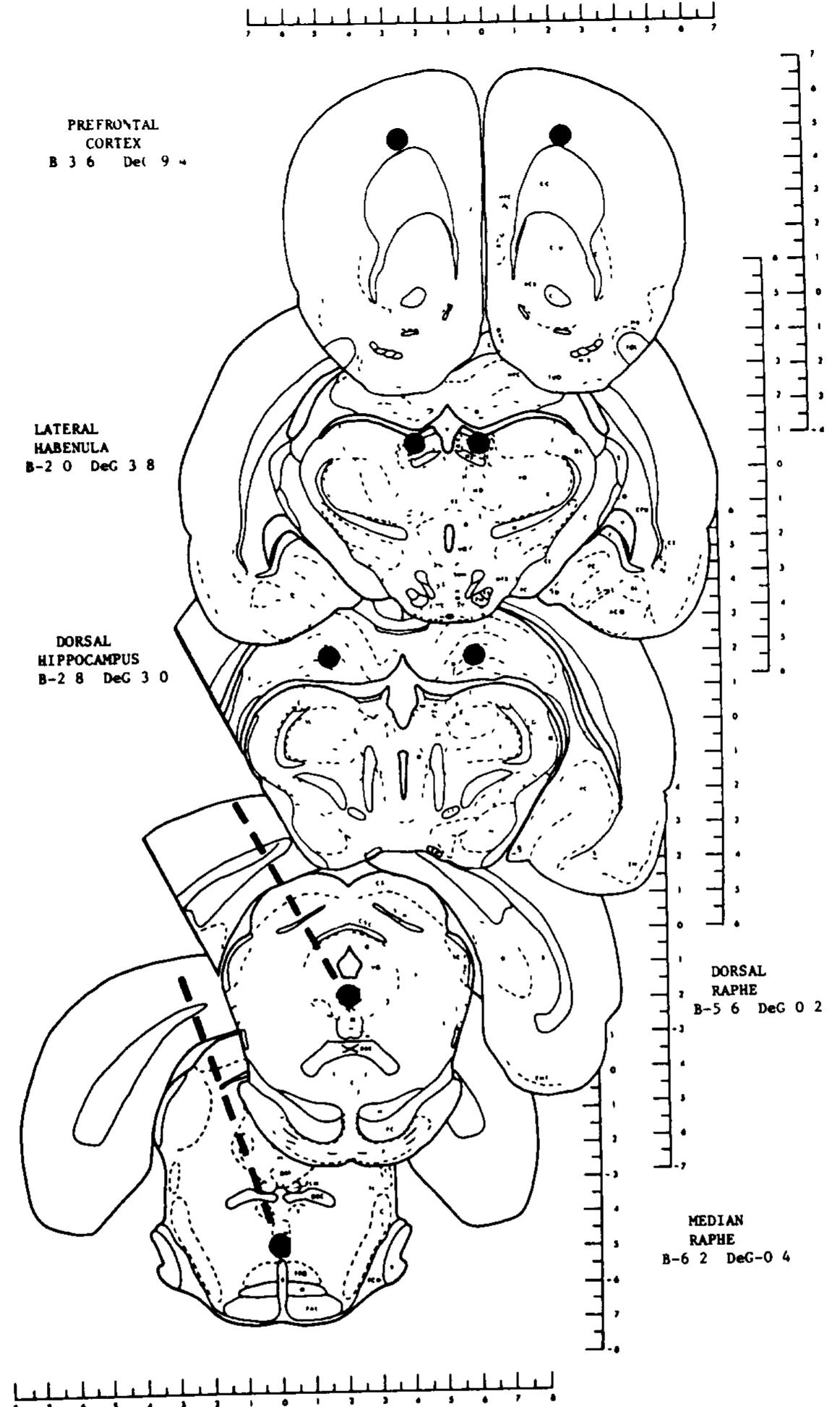 Figure 1 - from The effects of intracranial administration