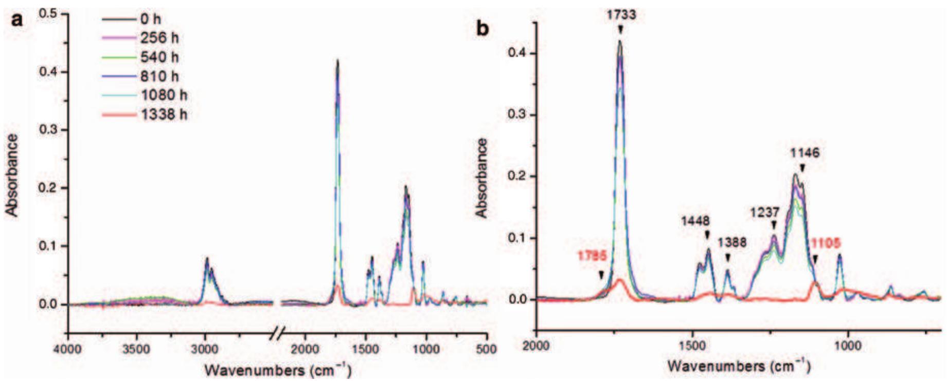Ftir spectra of the c-paraloid b72 (a). detail of ftir