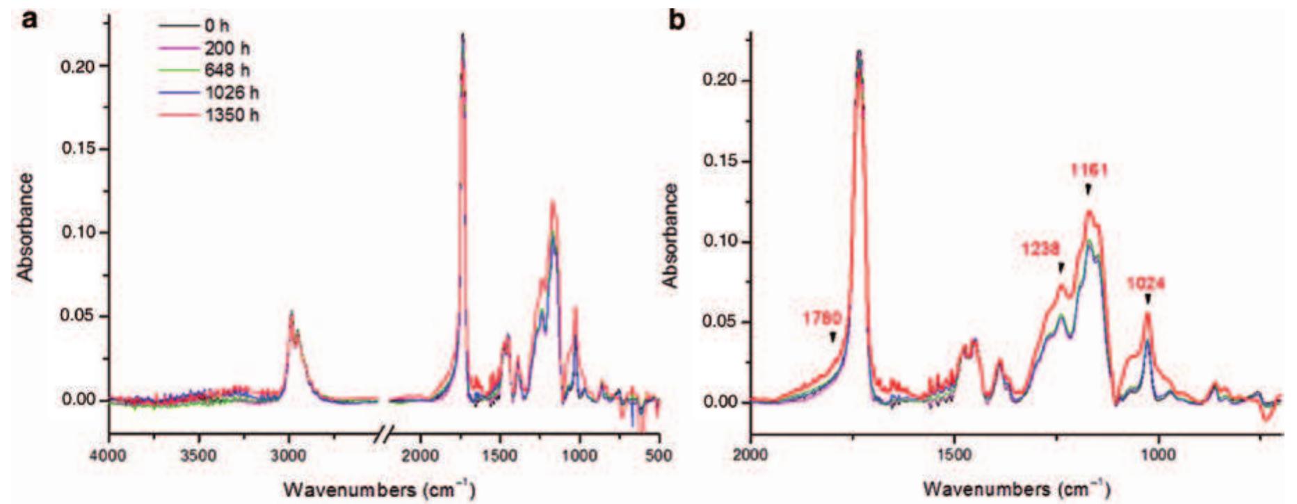 Figure 7 - from The effect of TiO2 component on the