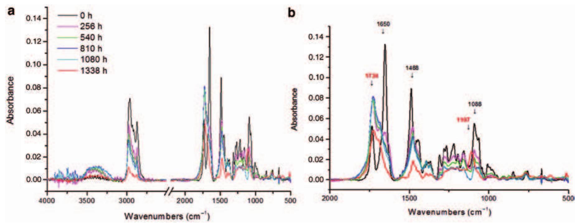 Ftir spectra of the c-laropal a81 (a). detail of ftir