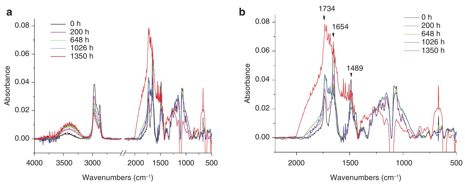 Ftir spectra of the m-laropal a811 (a). detail of ftir