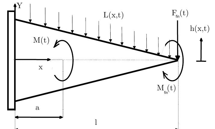 Structural model of the compliant body. a=actuation point,