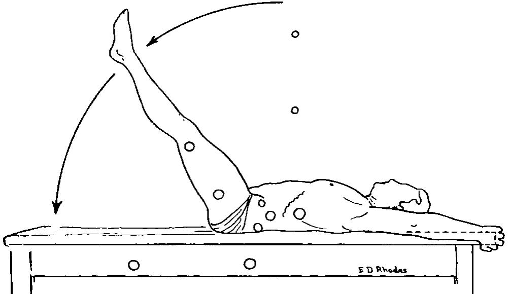 (PDF) Kinematics of the Double-Leg-Lowering Test for Abdominal Muscle ...