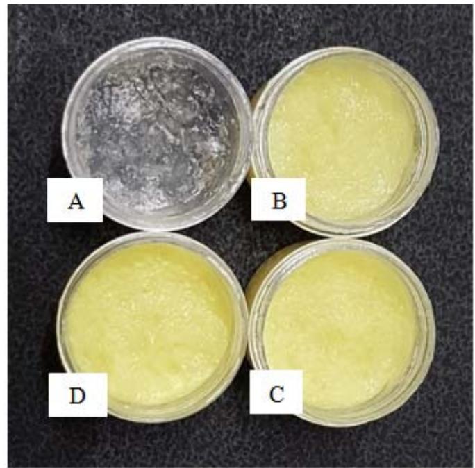 Visual observation of gel, a: clear gel; b: quercetin