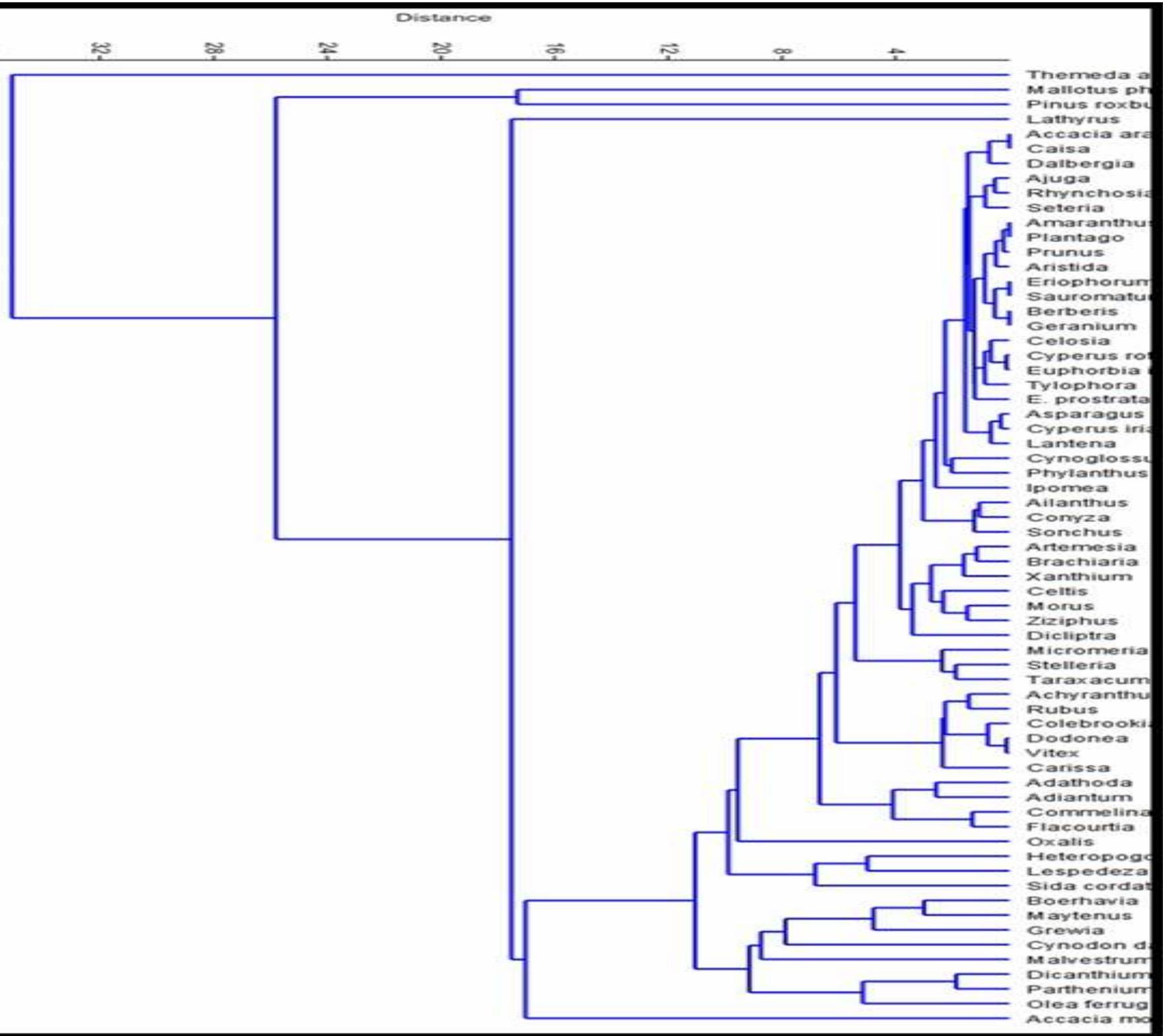 Cluster Analyses Dendrogram Of Species Dataset Based On