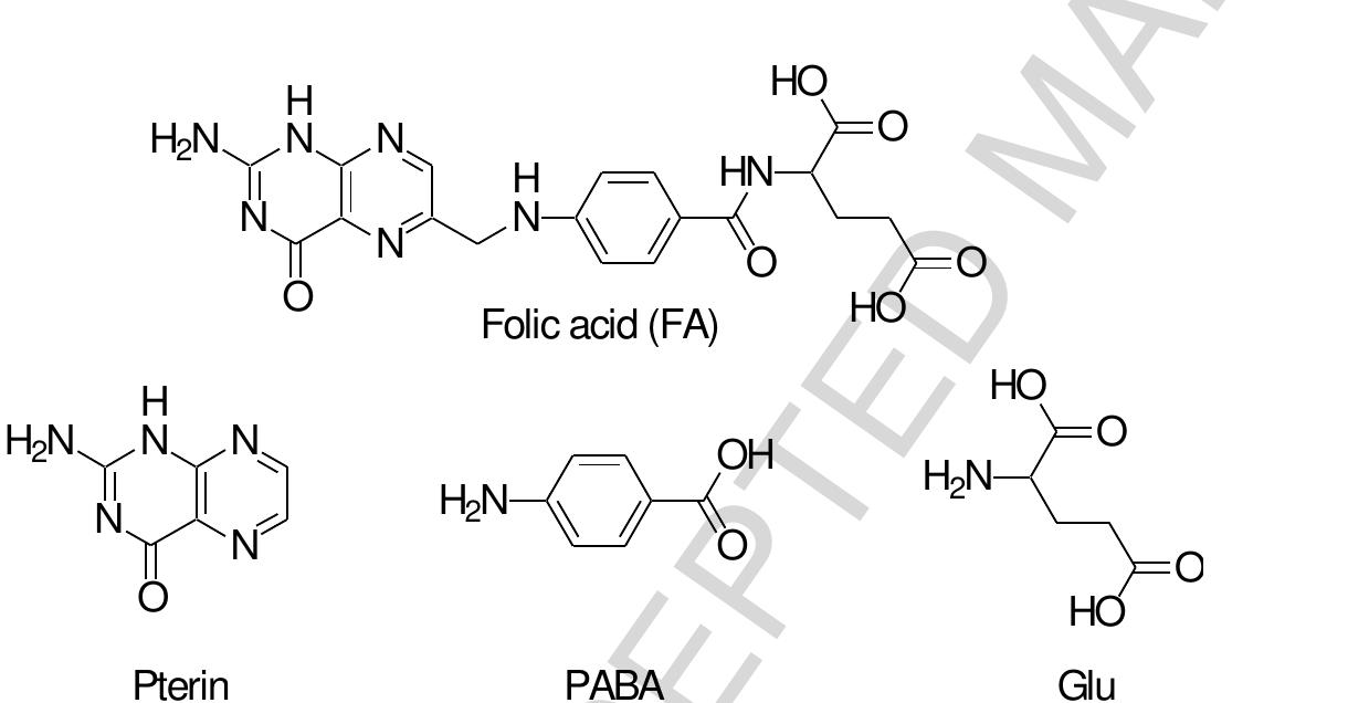 Molecular structure of folic acid and the different