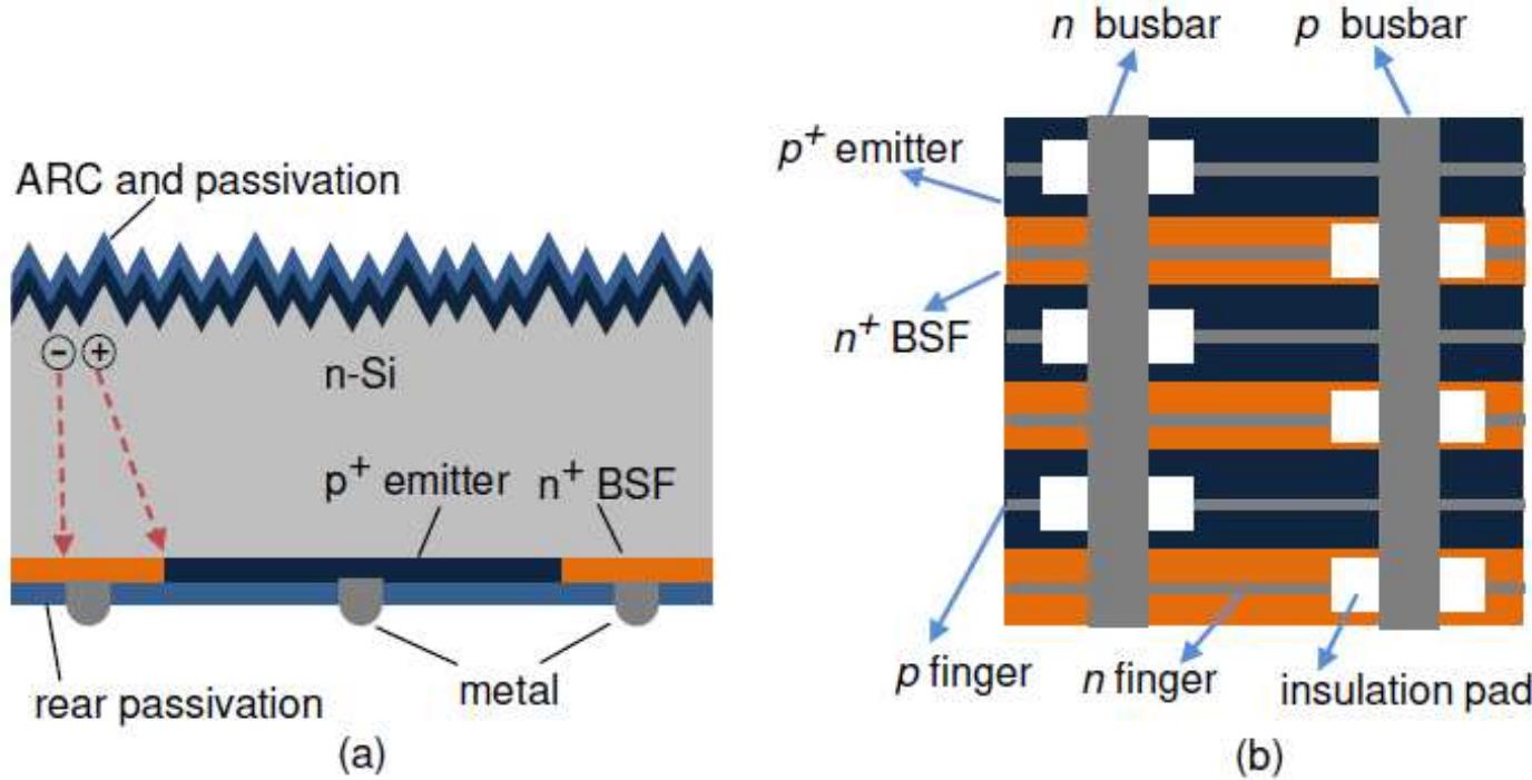 (a) schematic cross-section of zebra cell and (b) a