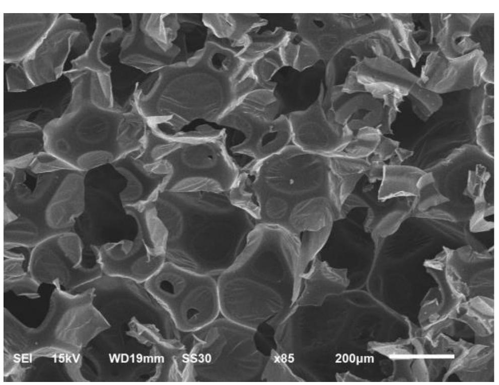 Morphology of the rigid polyurethane foam from coconut fatty