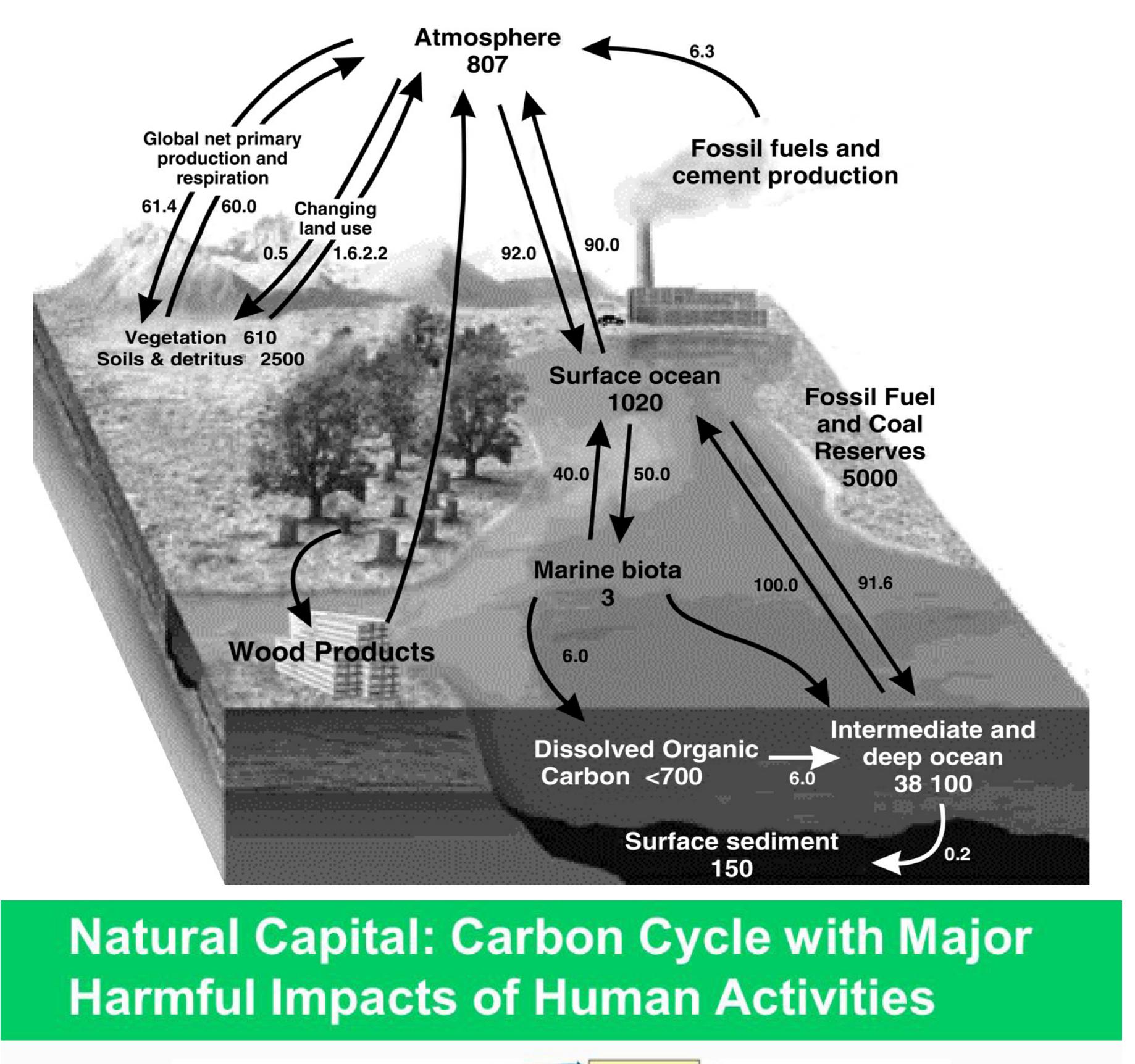 Figure 1 - Exploring How Human Activities Disturb the