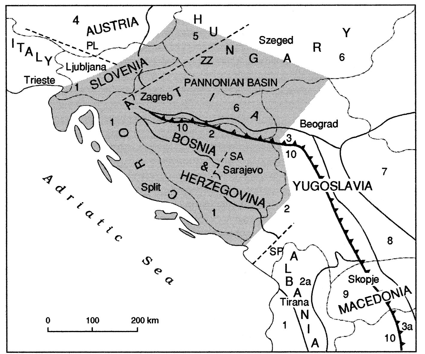 Simplified geological sketch-map of the dinarides and