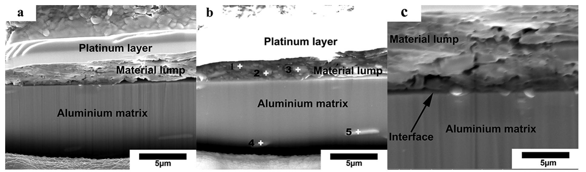 Fib-sem cross section images of lump defect: (a) secondary