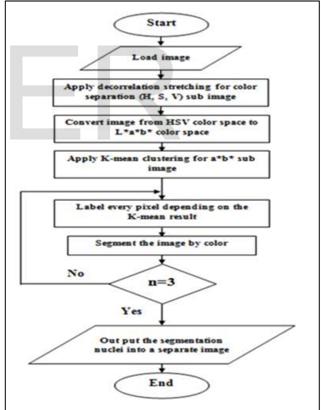 (4) shows the flowchart of histogram and k-means clustering.