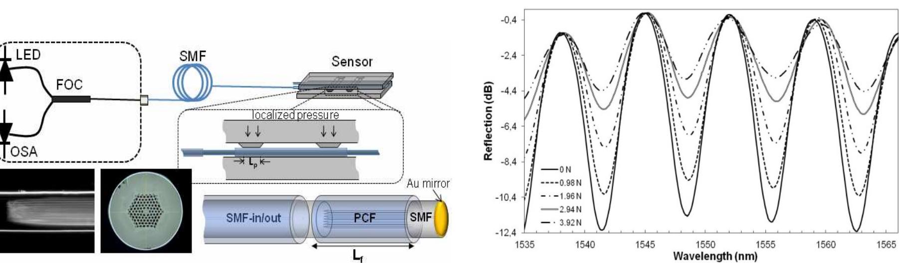 Drawings of the pcf interferometer, schematic representation