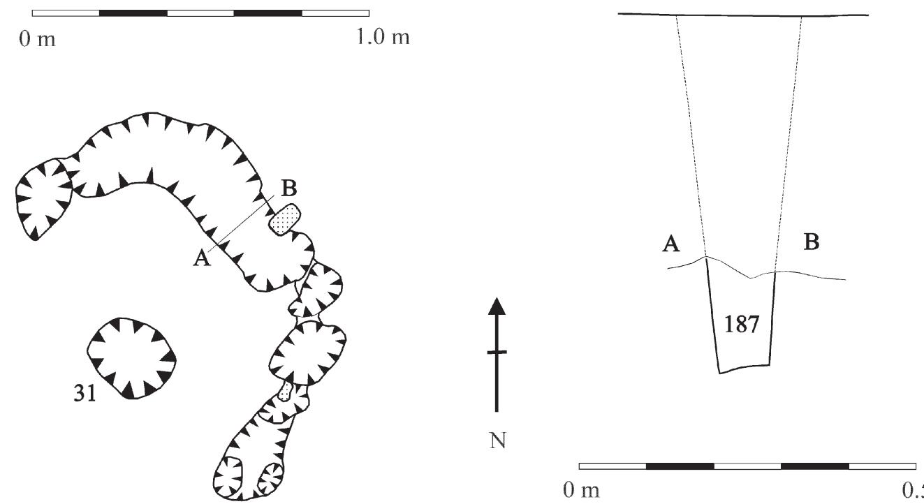 Illus 3 plan and section of a remnant of structure a