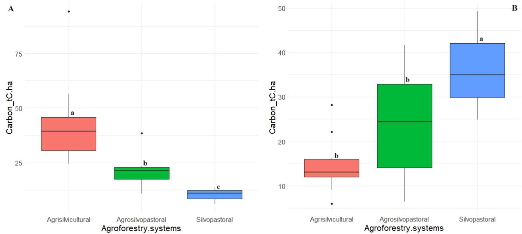 Variation in agc + bgc stocks within agroforestry systems in