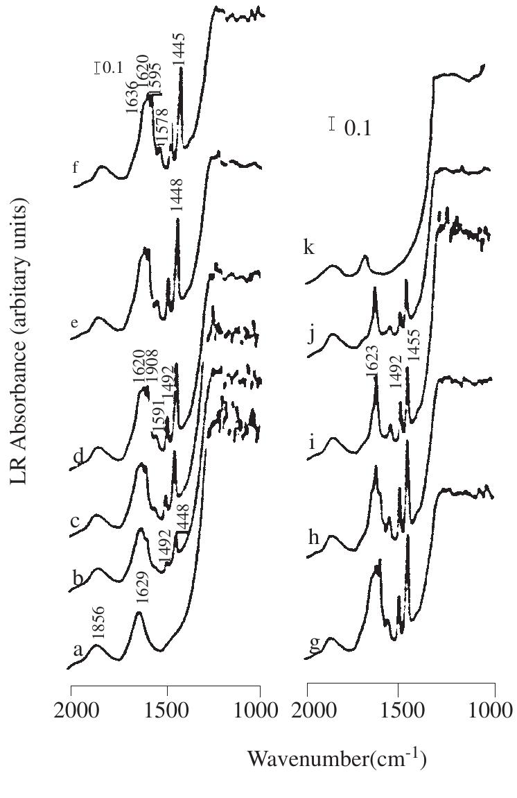 Acid sites. figure 3. ftir spectra of pyridine adsorbed on