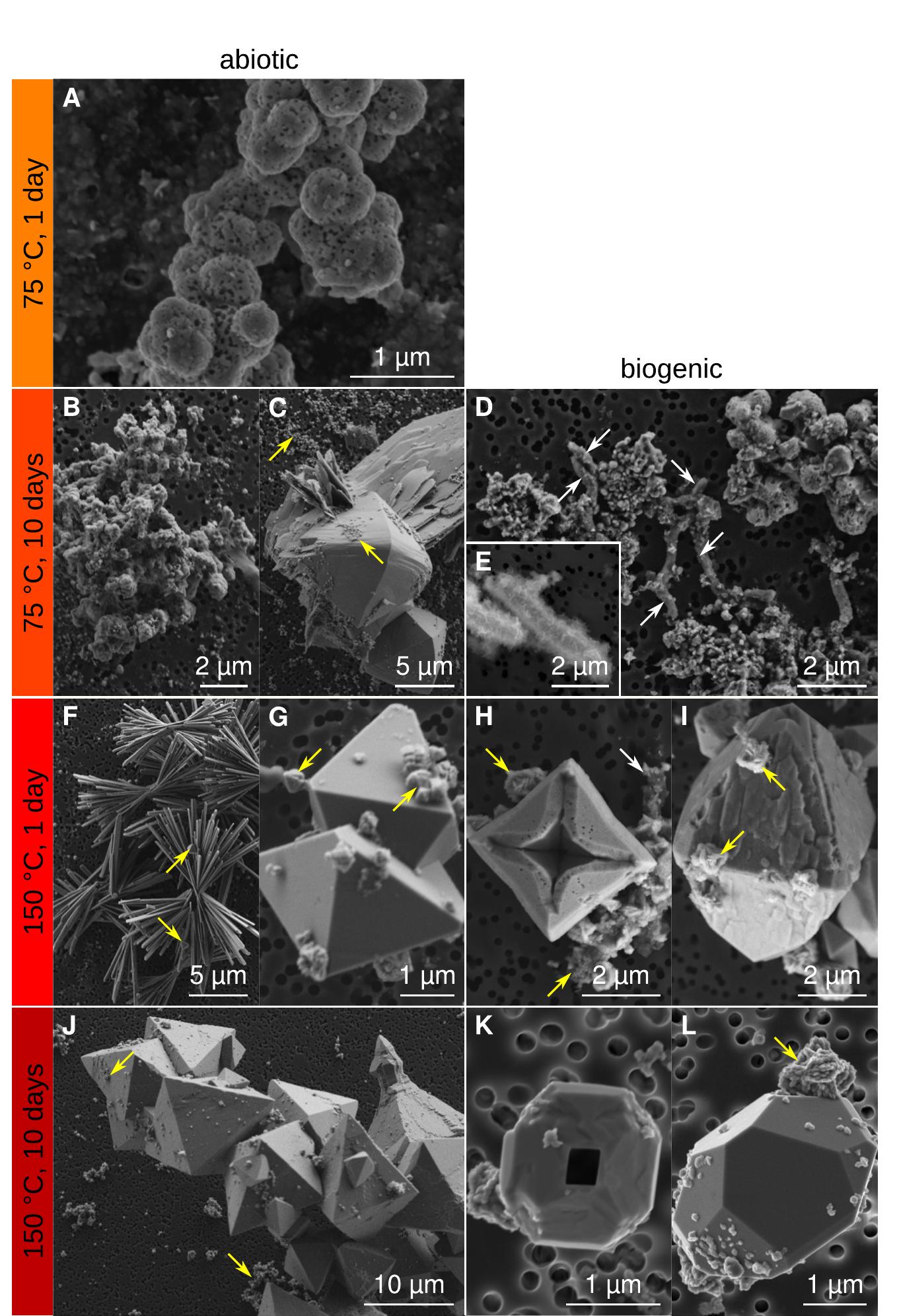 Figure 4 - from Formation of Pyrite Spherules From Mixtures