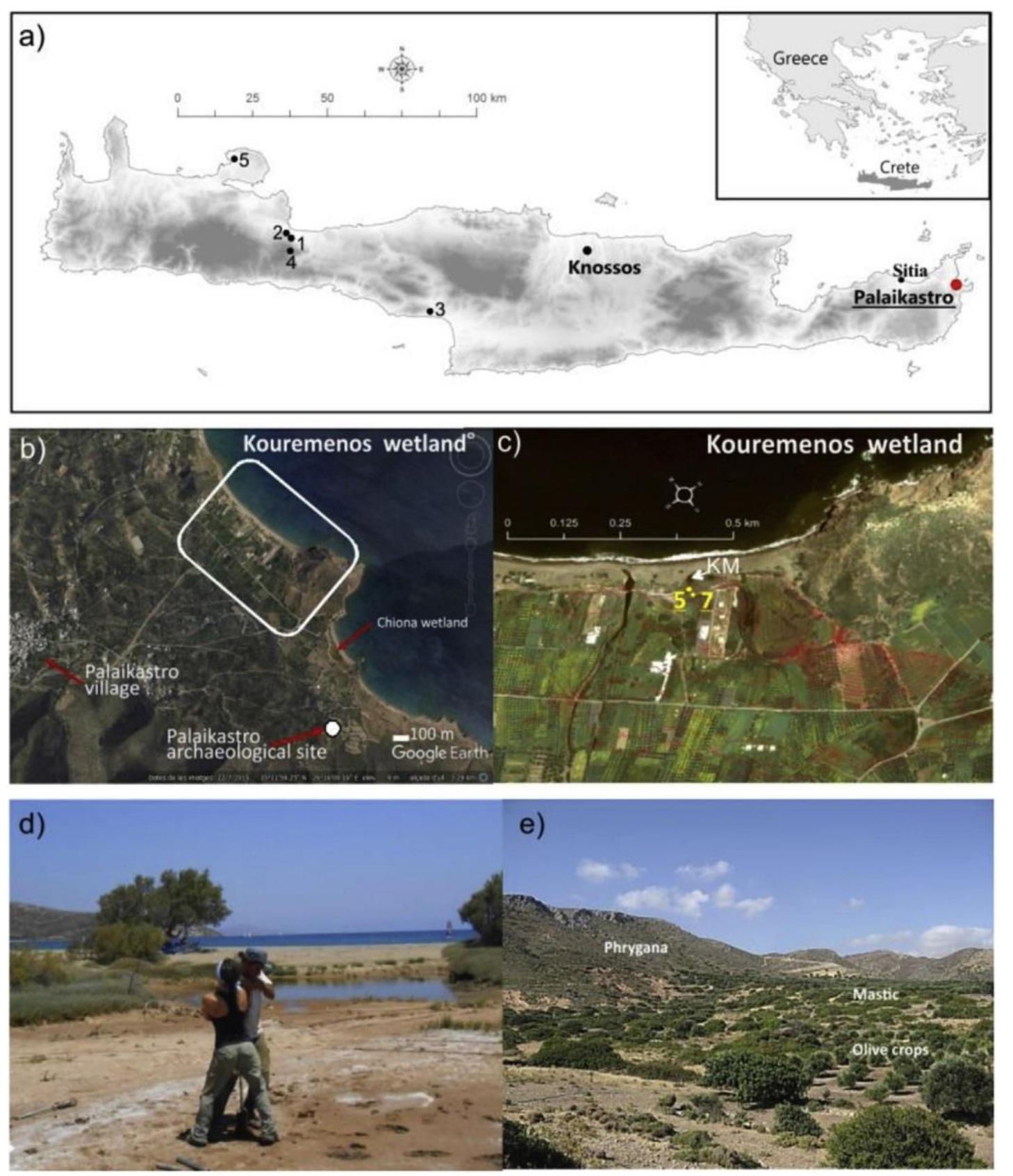 Study area. a) map of crete and the location of palaikastro.