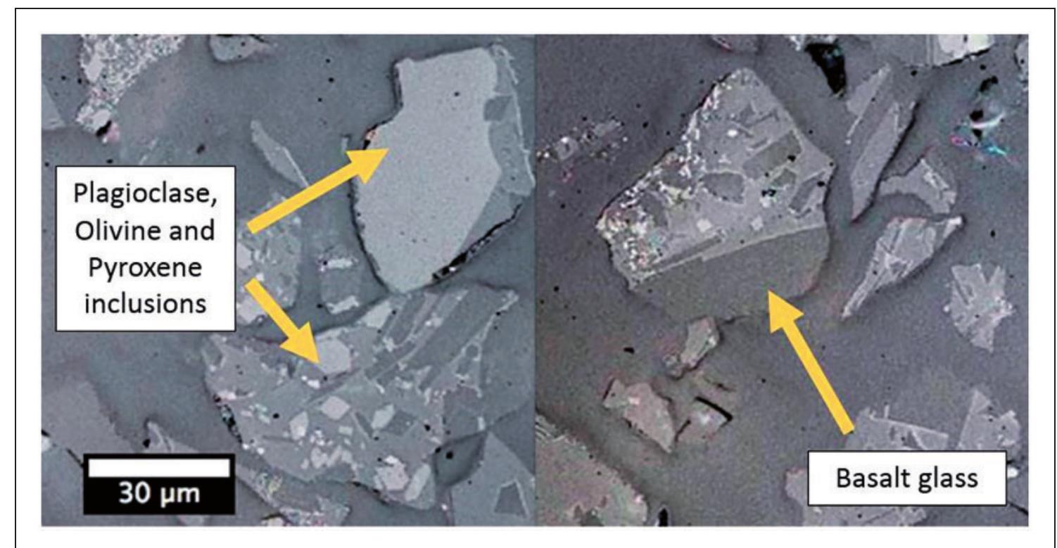 |. bright field optical micrographs showing the