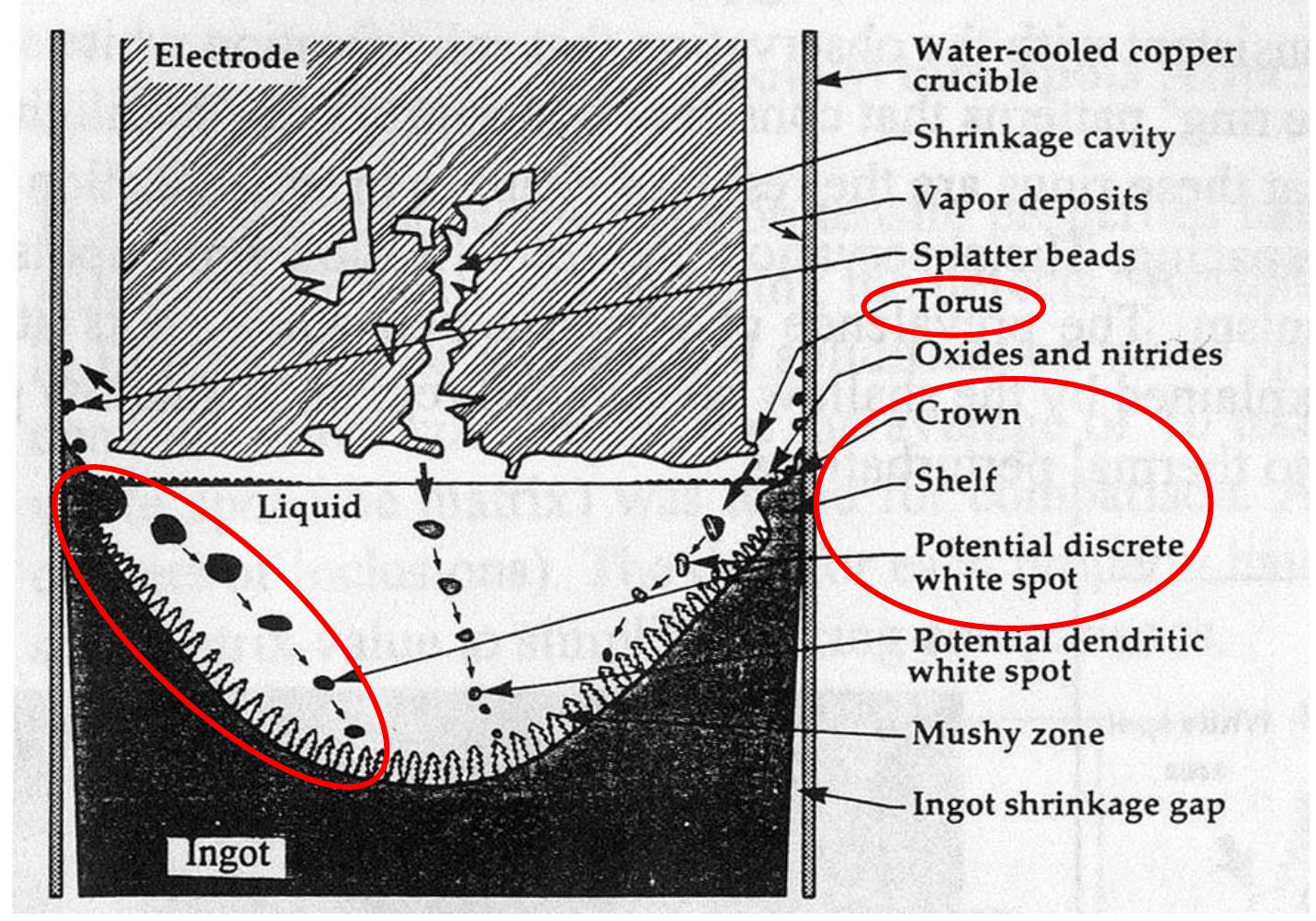 White spot formation. and/or torus regions of the