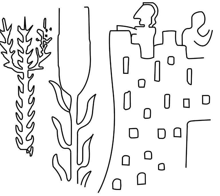 Figure 6 - from The Transregional Origins of Early