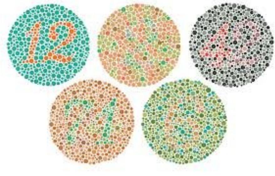 Ishihara color vision test plates different shapes and