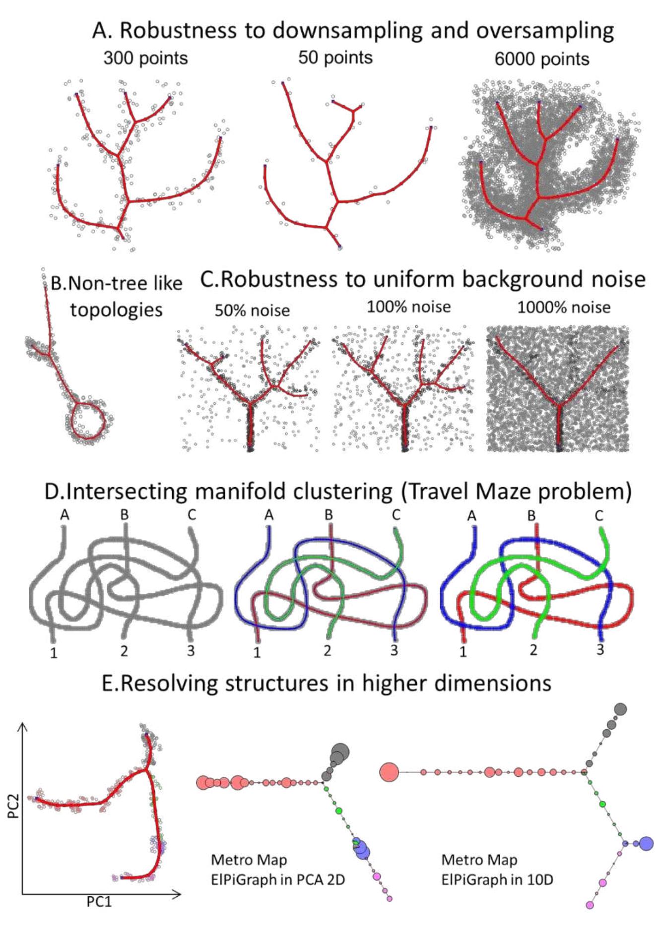 Toy examples showing features of kipigraph. (a) elpigraph 1s