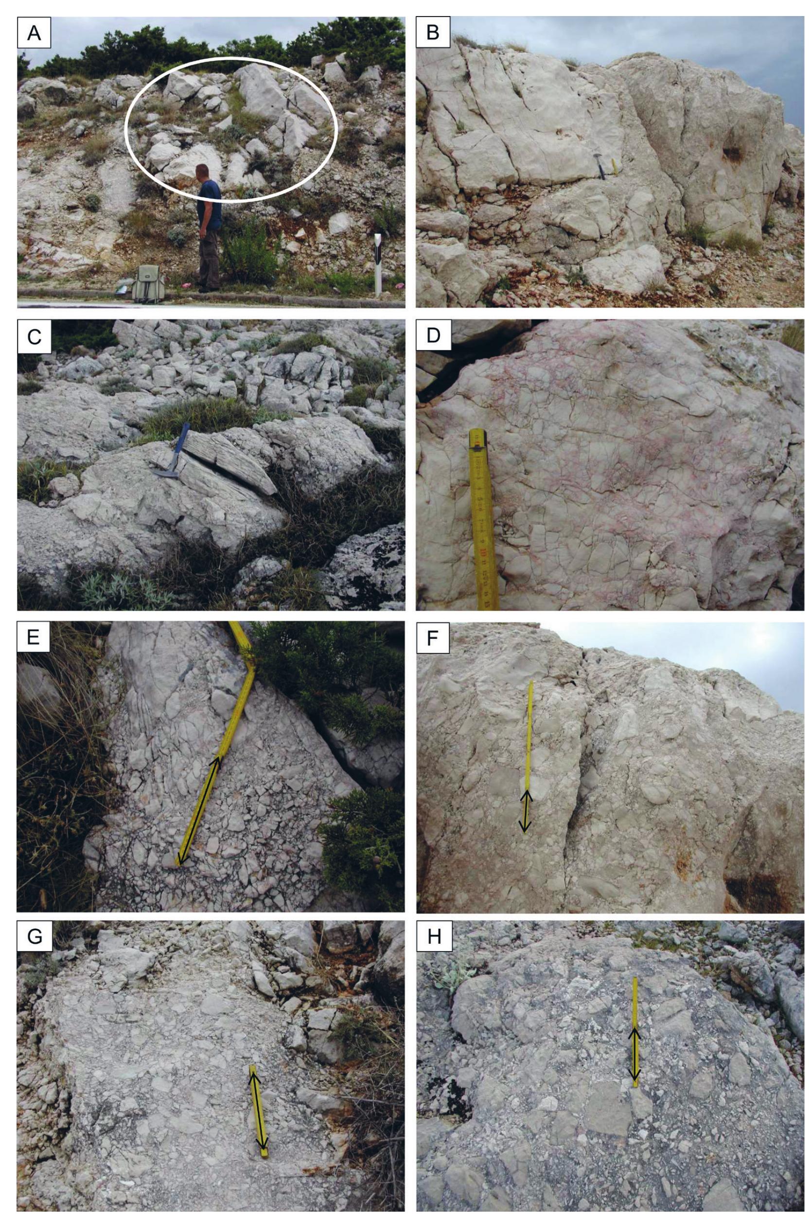 Examples of the characteristic types of breccia-fragments
