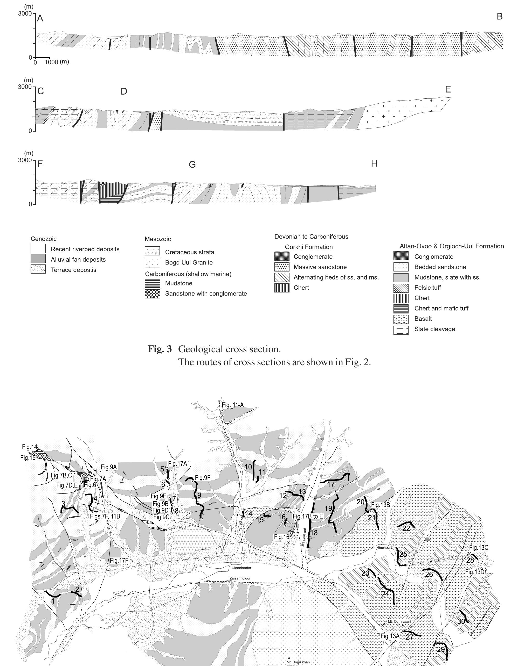 Figure 3 - Stratigraphy and geological structure of the
