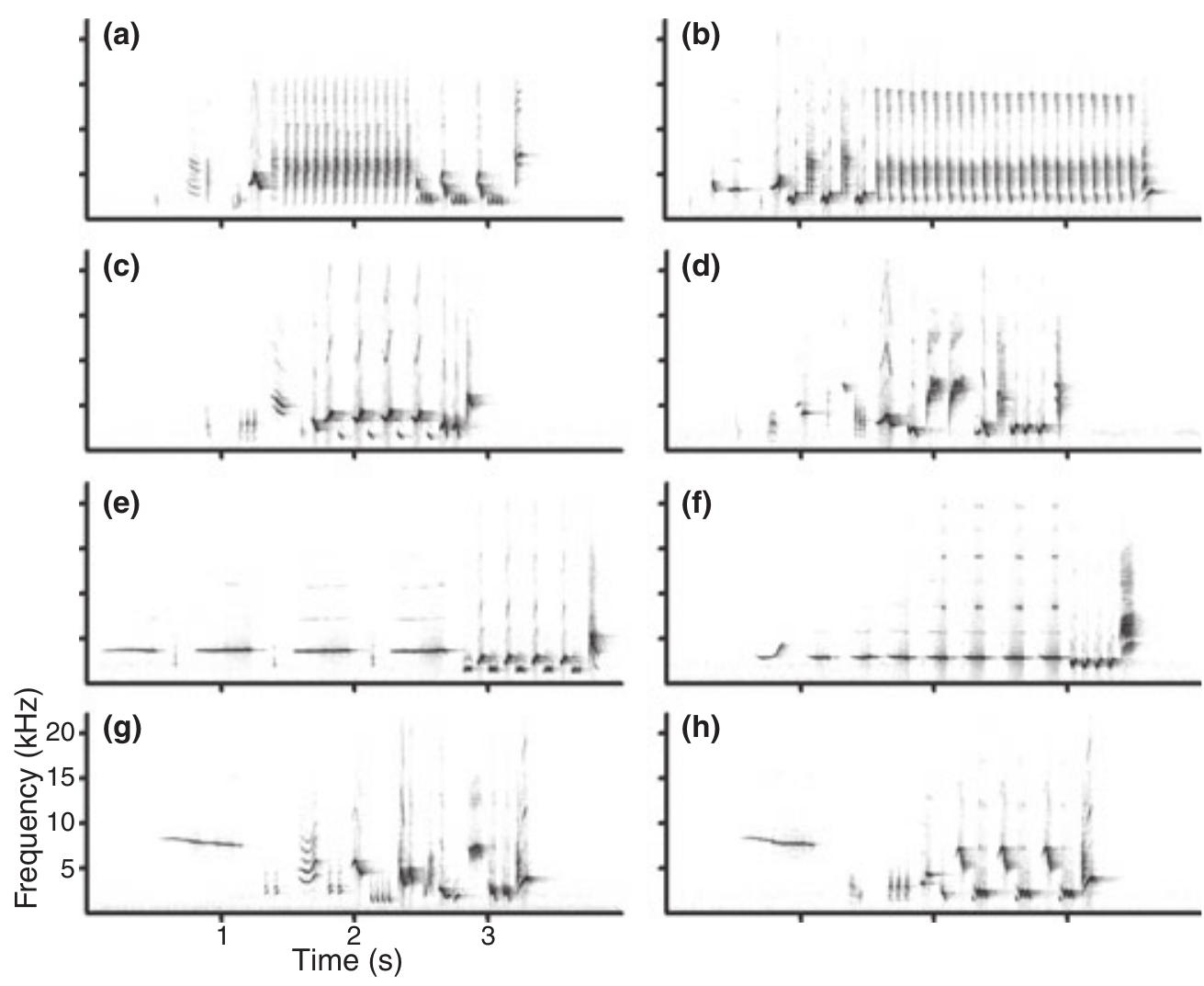 Recorded with a sony tc-d5m or wm-d6c tape recorder (sony