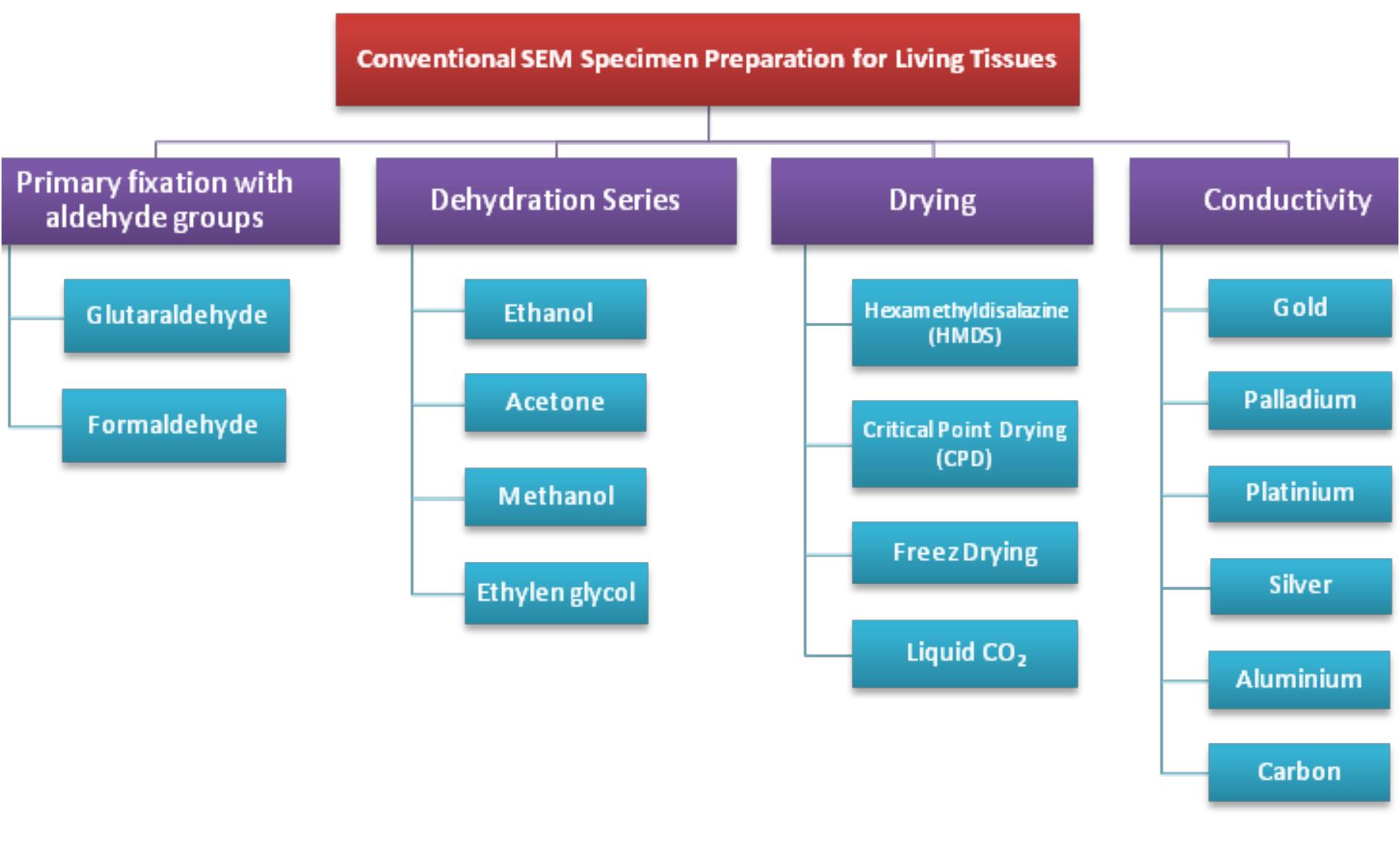 Figure 3 - from How to Prepare Biological Samples and Live