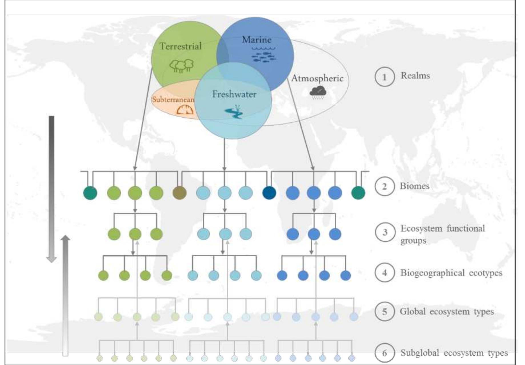 The typology comprises a nested hierarchy of units (fig. 1;