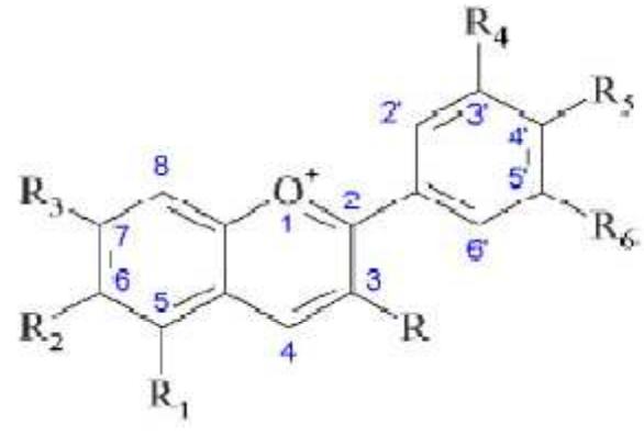 General structure of anthocyanidin pigment (delgado-vargas